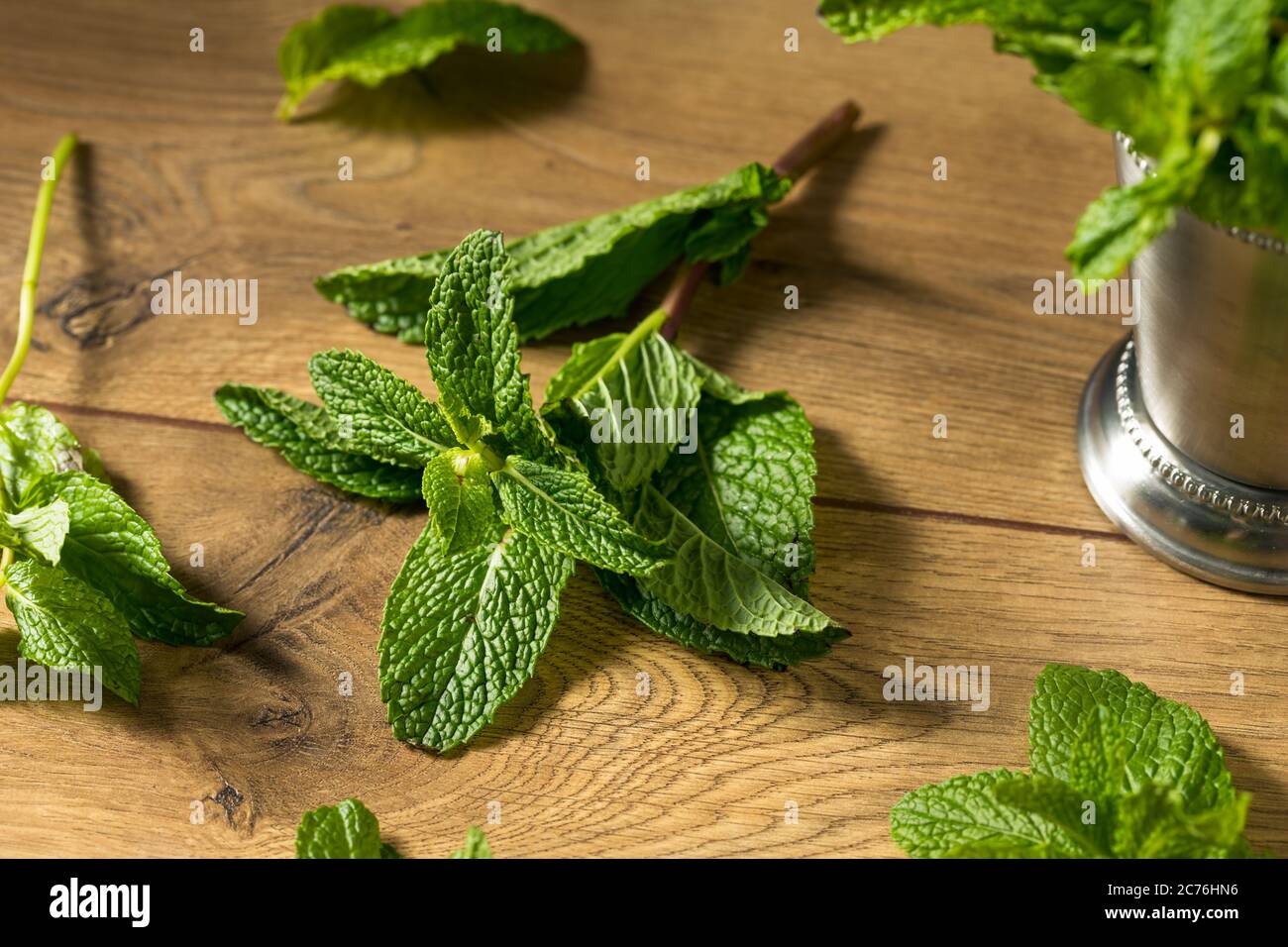 Raw Green Organic Fresh Mint in a Bunch Stock Photo - Alamy