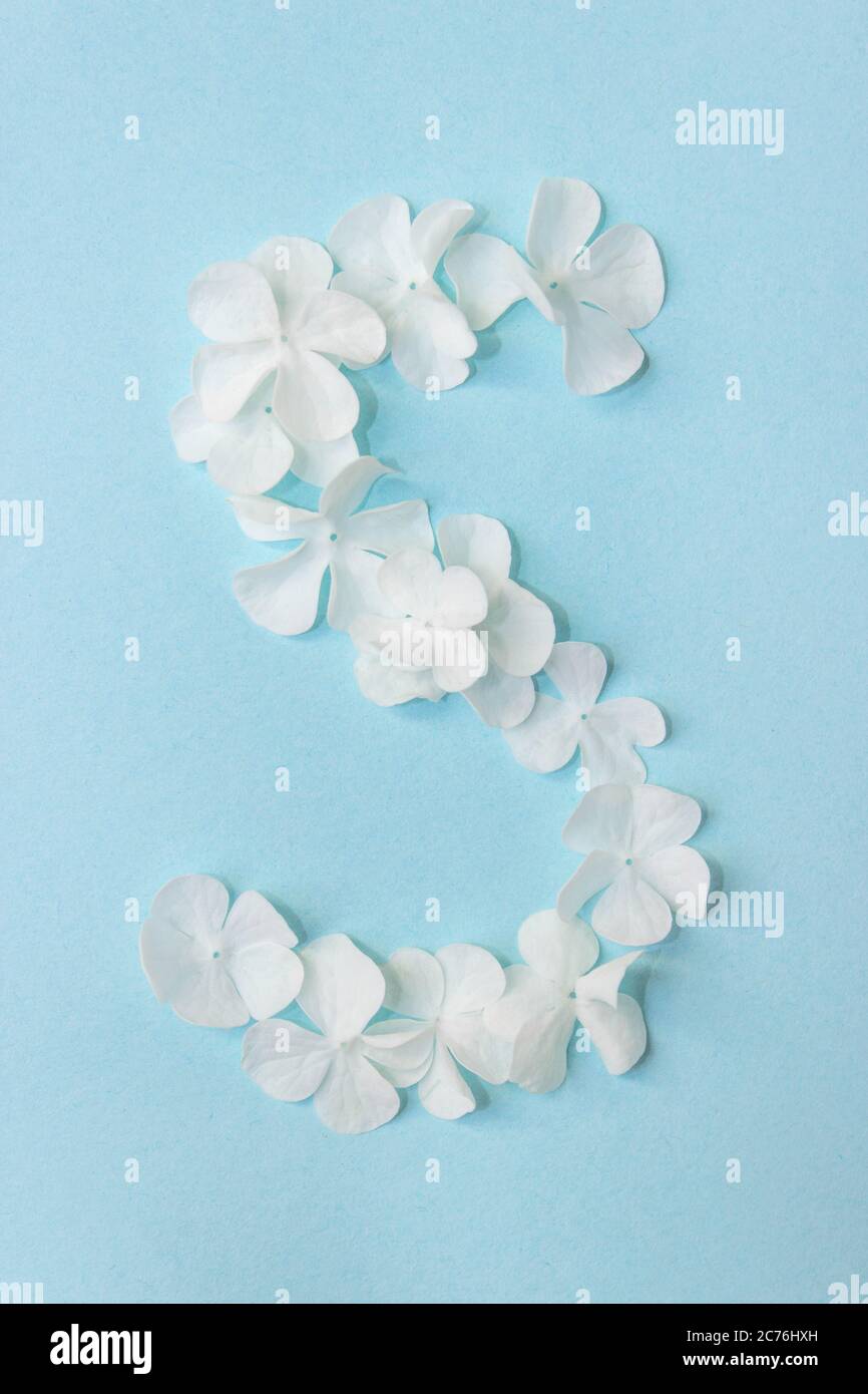 Flower Alphabet - S. Letter made from live flowers on light blue ...