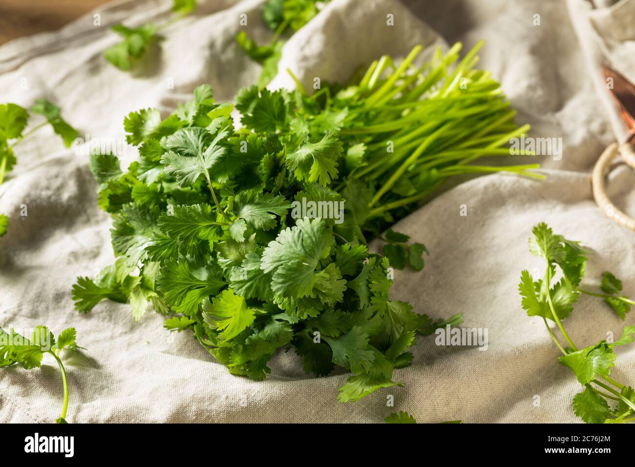 Cilantro bunch hi-res stock photography and images - Alamy