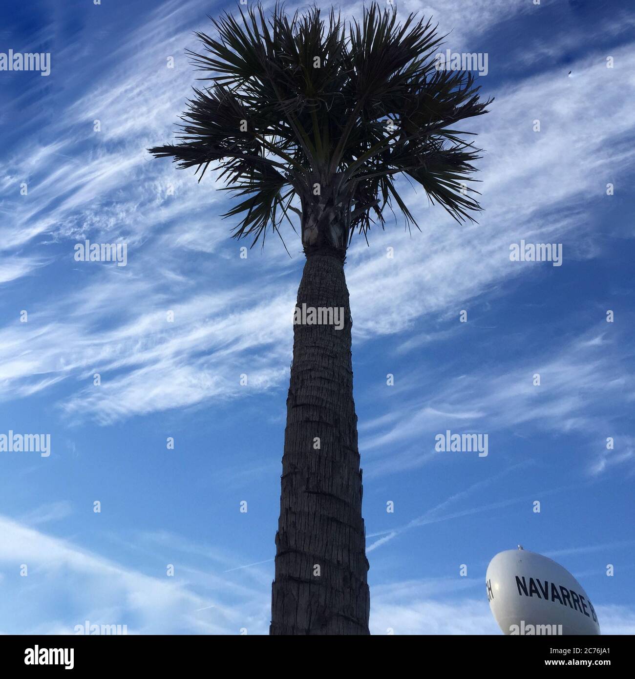 Abstract shot of the Navarre Beach water tower next to a palm tree ...