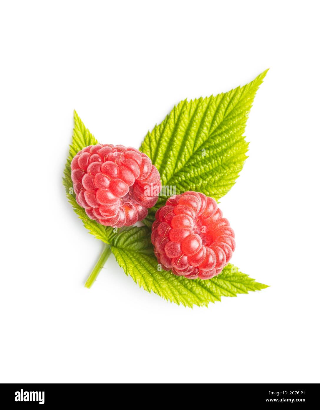 Ripe red raspberries and green leaves isolated on white background ...