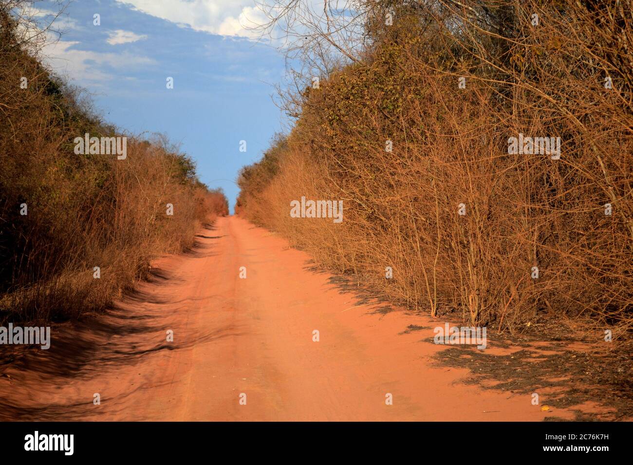 Red soil madagascar hi-res stock photography and images - Alamy