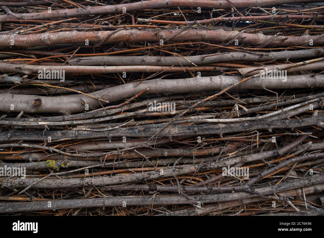 Dried up branches hi-res stock photography and images - Alamy