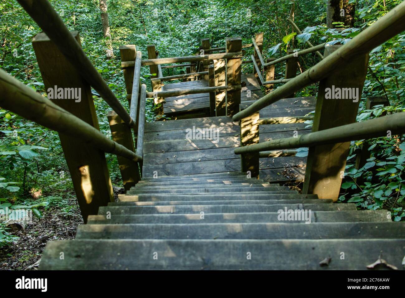 Wood walking trail stairs in forest national park Stock Photo - Alamy