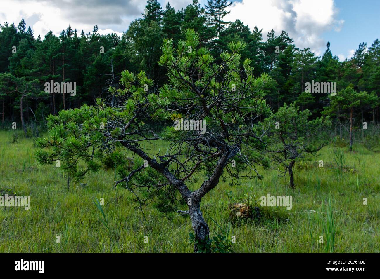 Wet place hi-res stock photography and images - Alamy