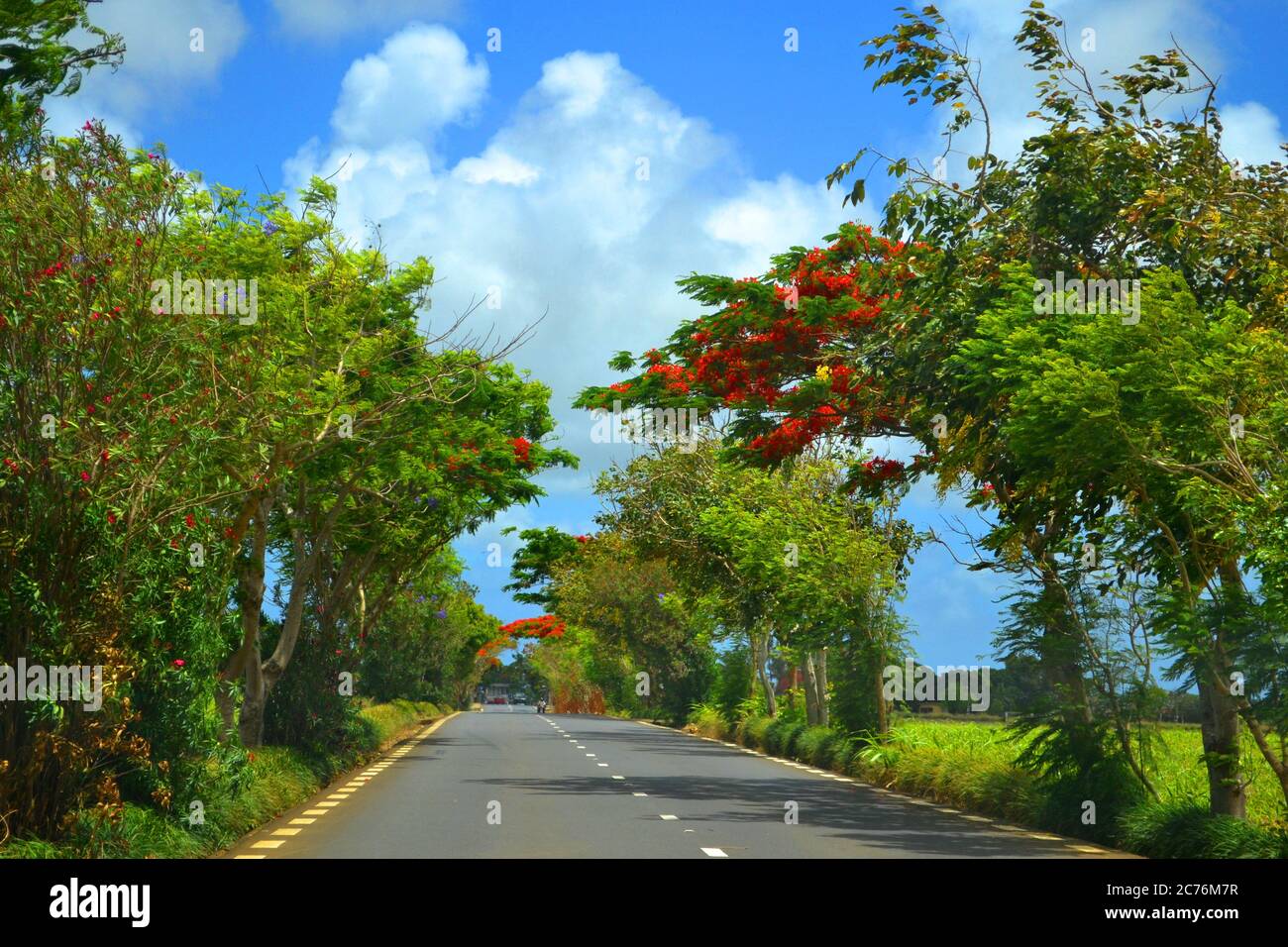Beautiful rural scene in Mauritius Stock Photo - Alamy
