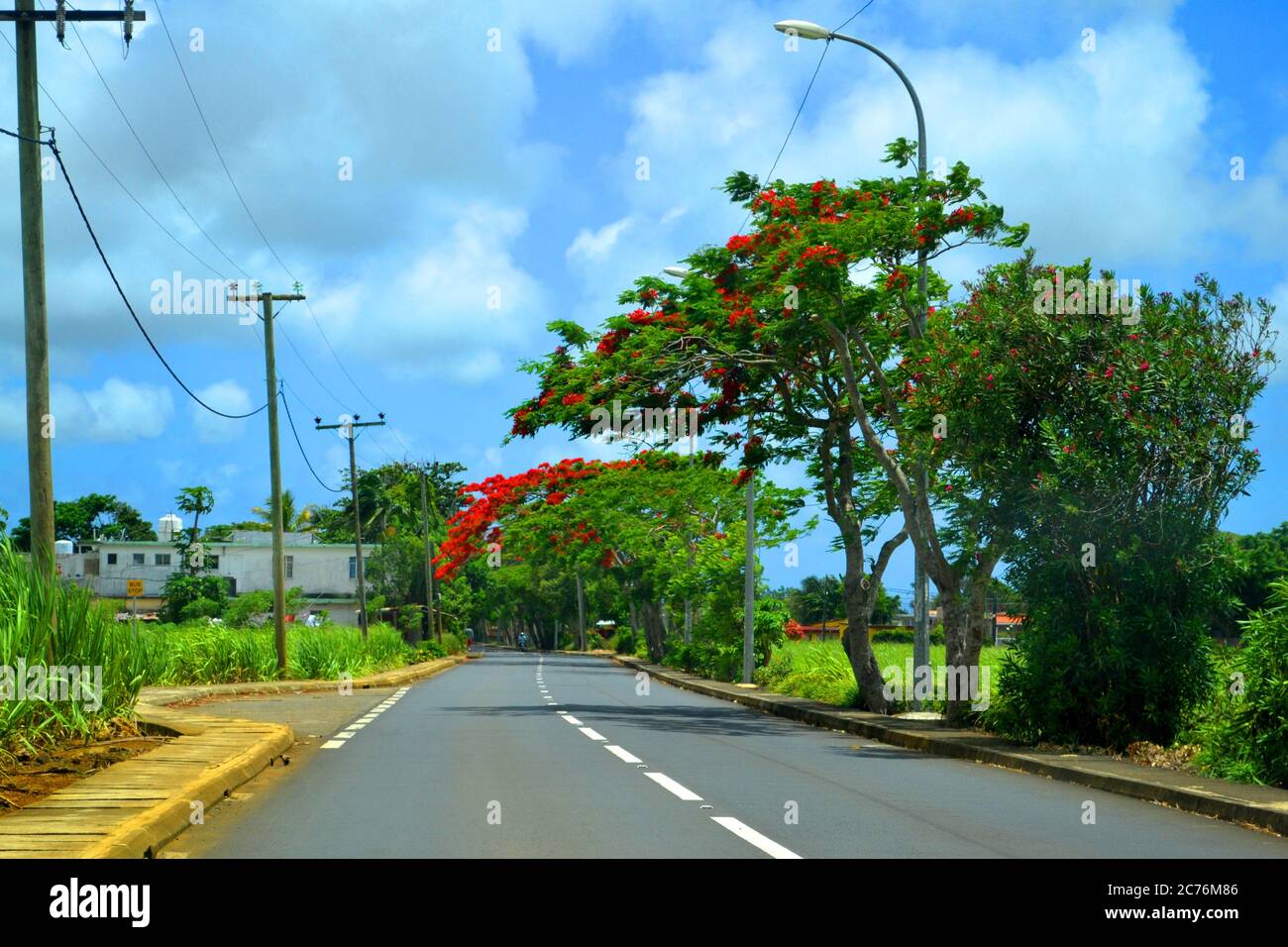 Beautiful rural scene in Mauritius Stock Photo - Alamy