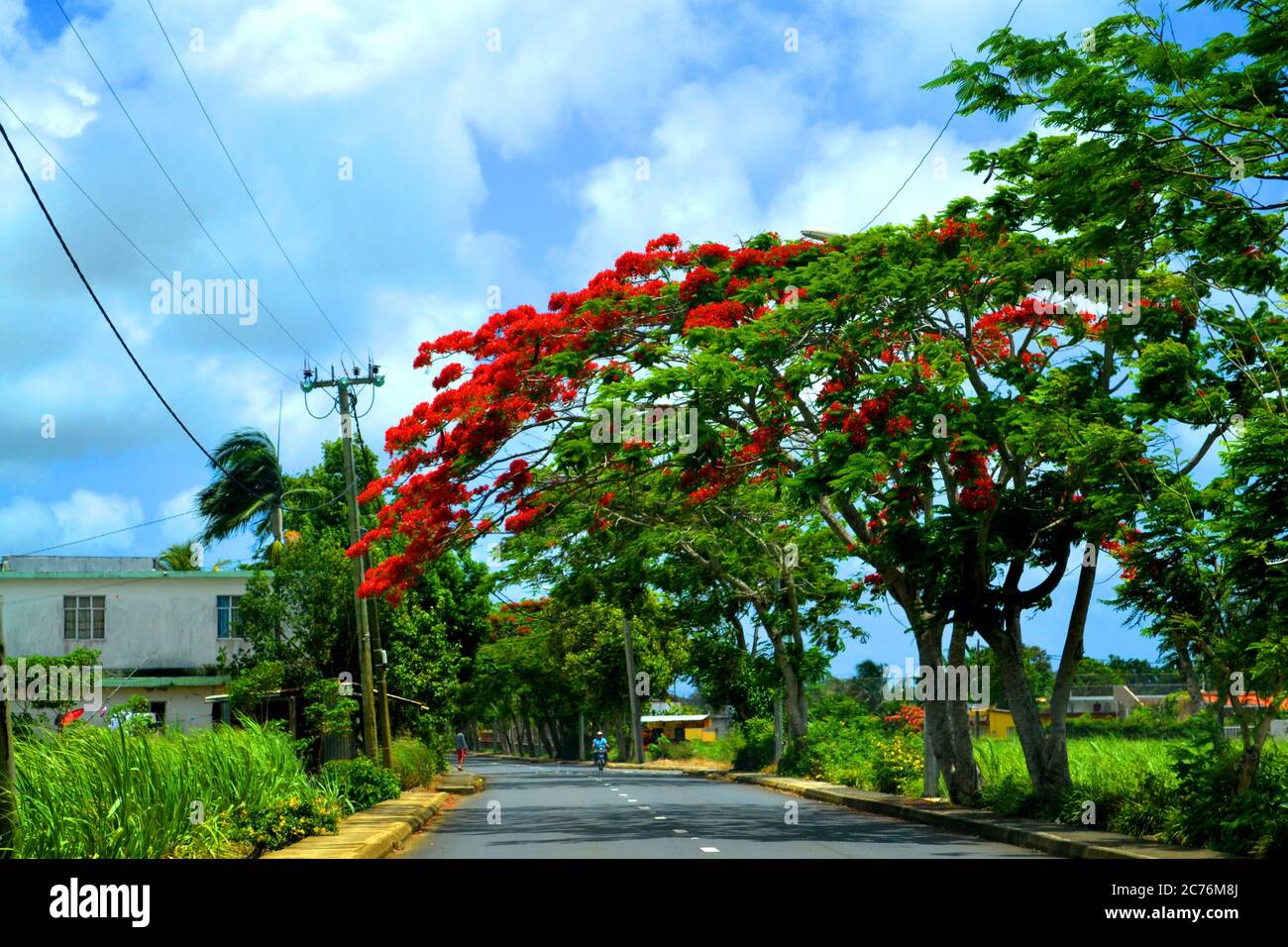 Beautiful rural scene in Mauritius Stock Photo - Alamy
