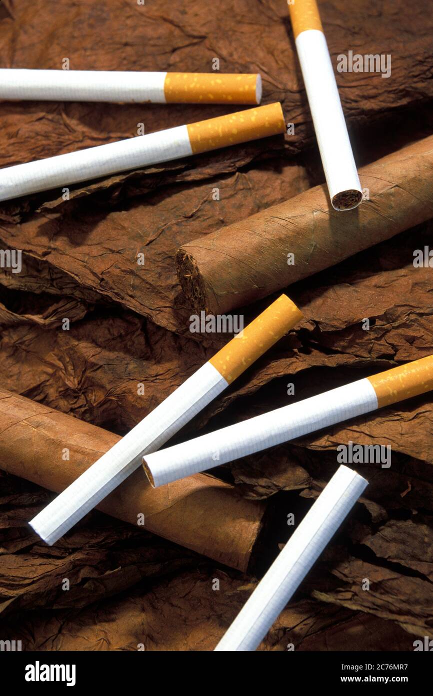 Cigarettes, Cigars and tobacco still life, USA Stock Photo - Alamy