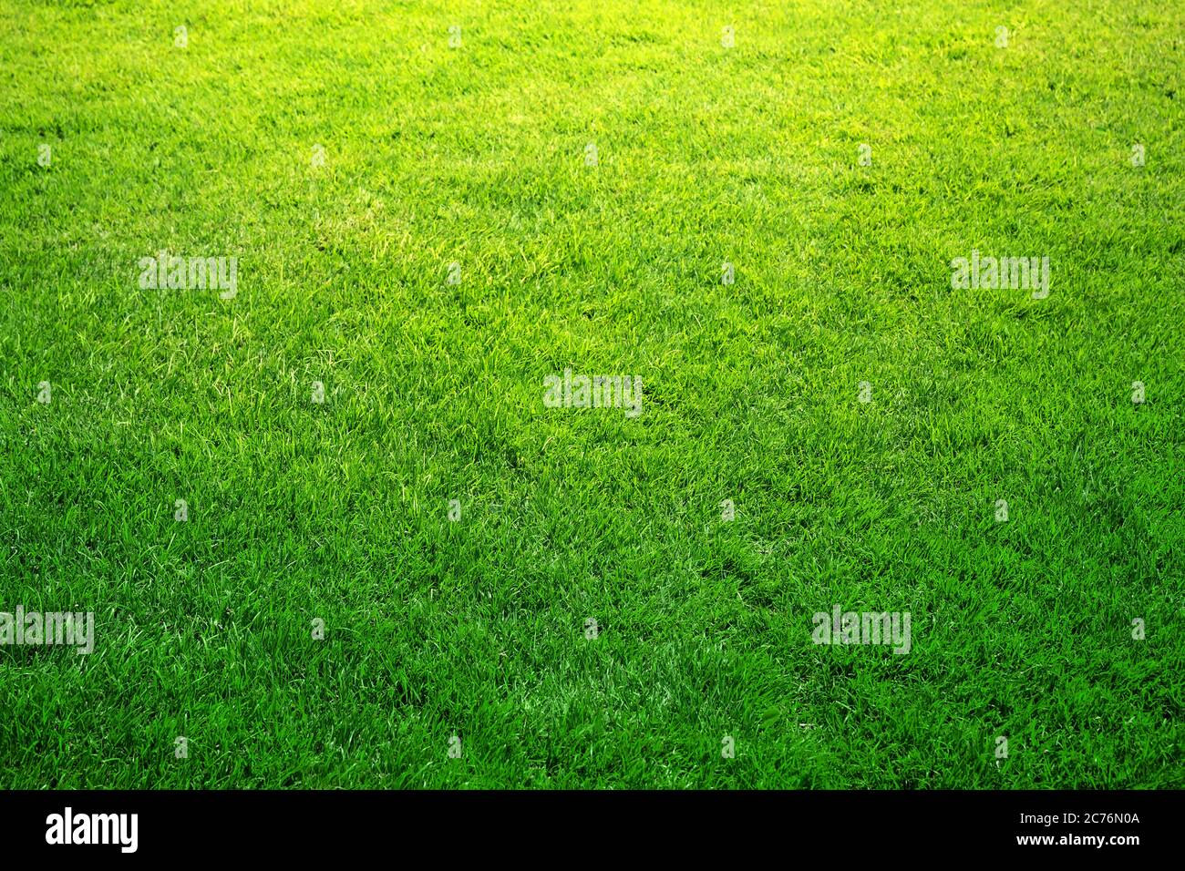 Natural green grass texture hi-res stock photography and images - Alamy