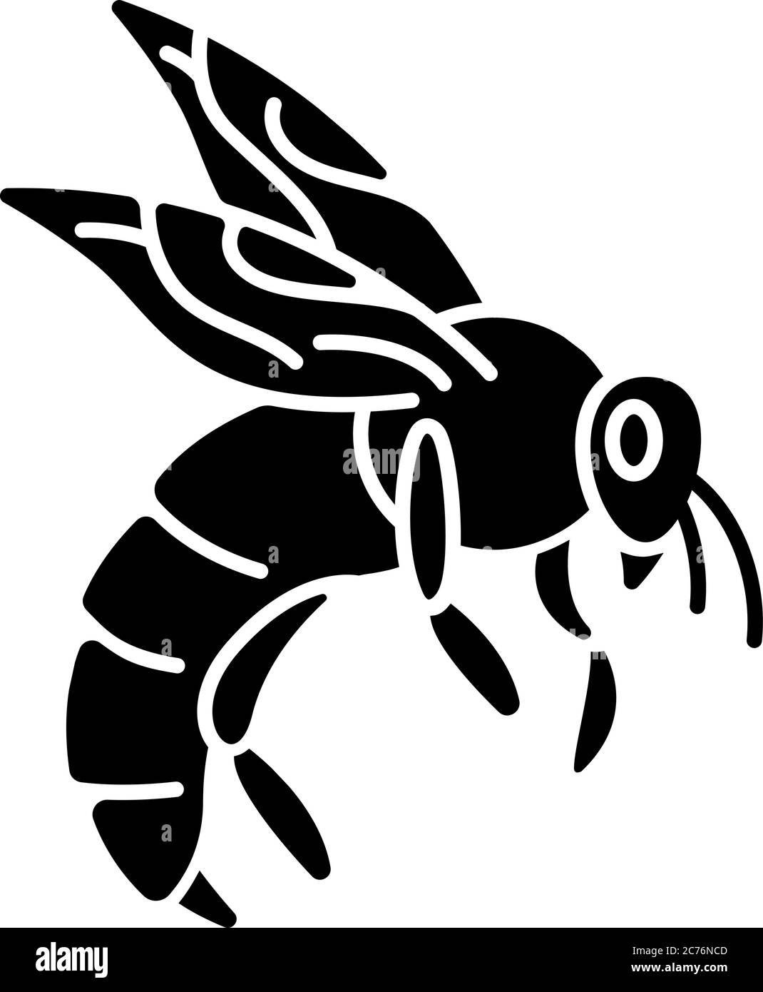 Flower of ordinary white Stock Vector Images - Alamy