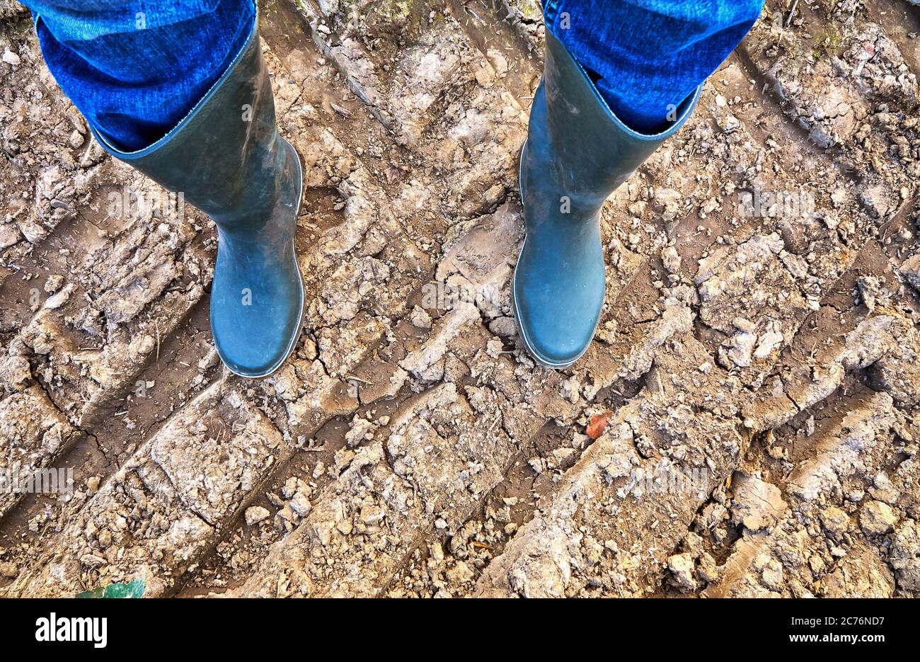 Human feet in rubber boots stand on a field with tractor tracks and ...
