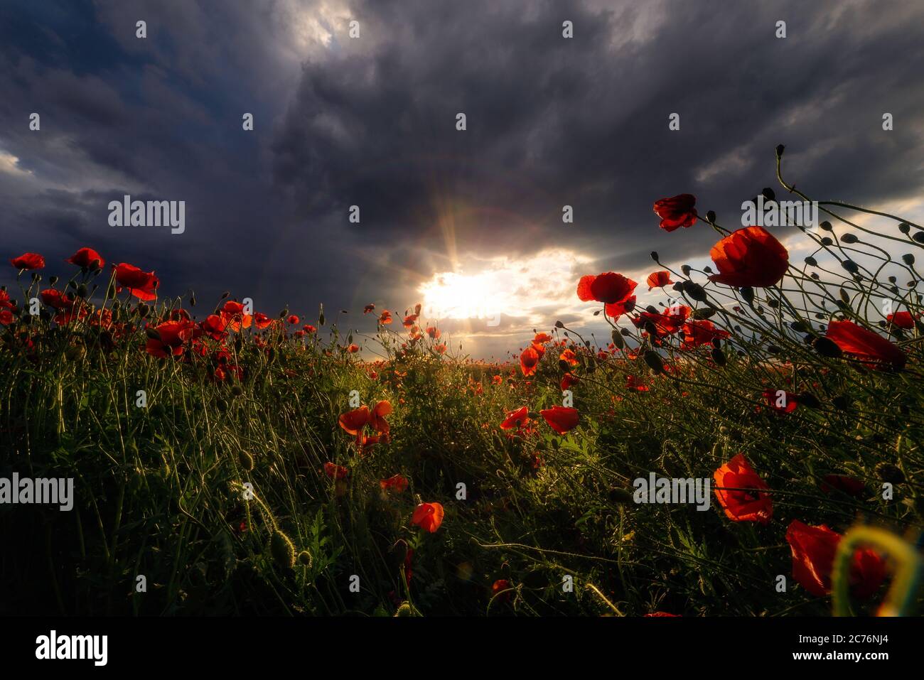 Amazing scene with the sun breaching the storm clouds on a rainy day in ...