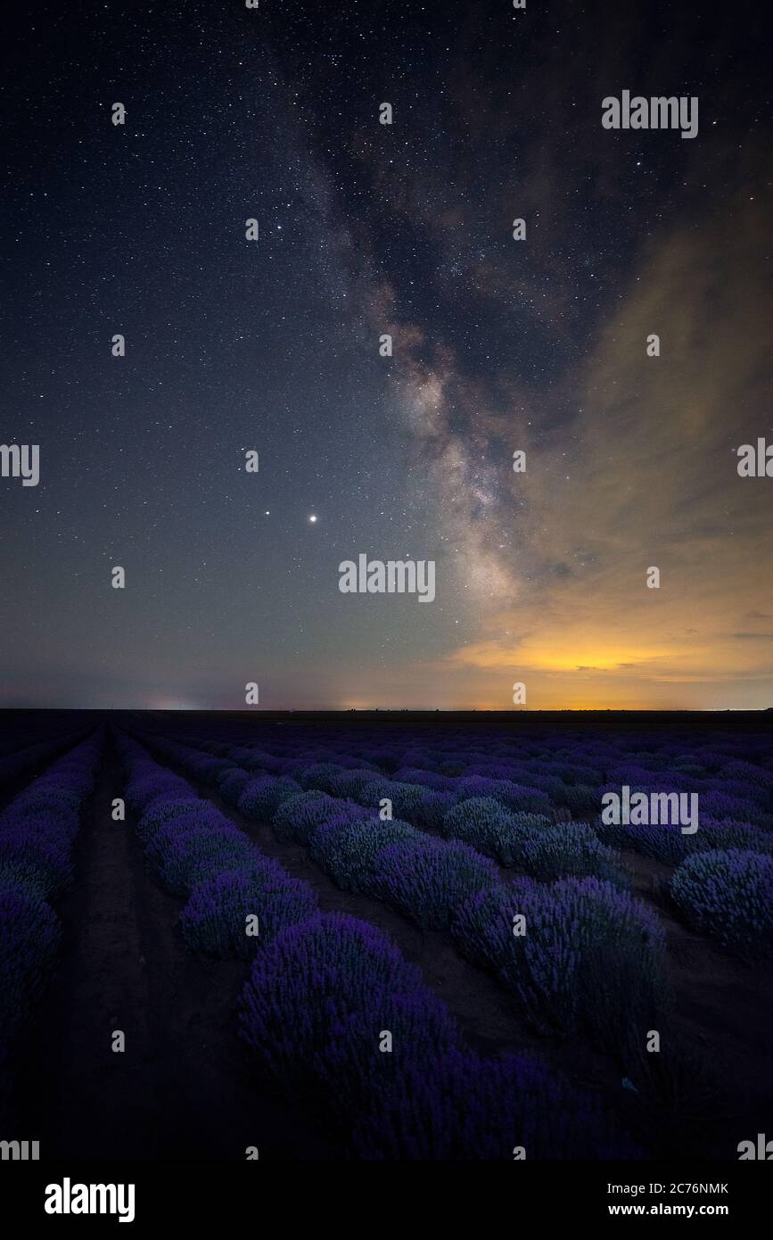 Stars above lavender hi-res stock photography and images - Alamy