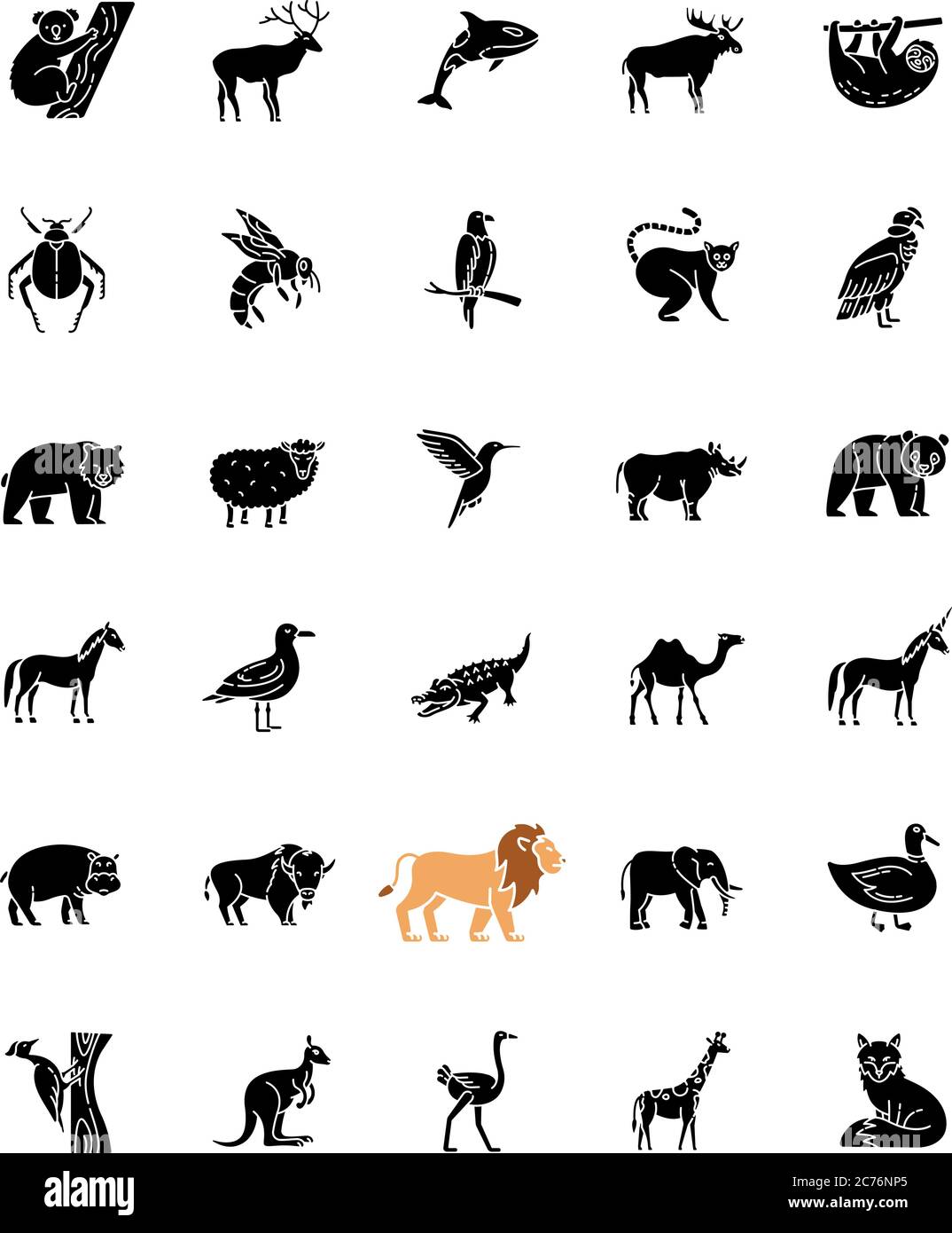 Wildlife black glyph icons set on white space. Ordinary animals and ...