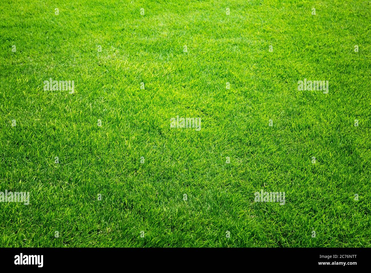 Recreation texture hi-res stock photography and images - Alamy