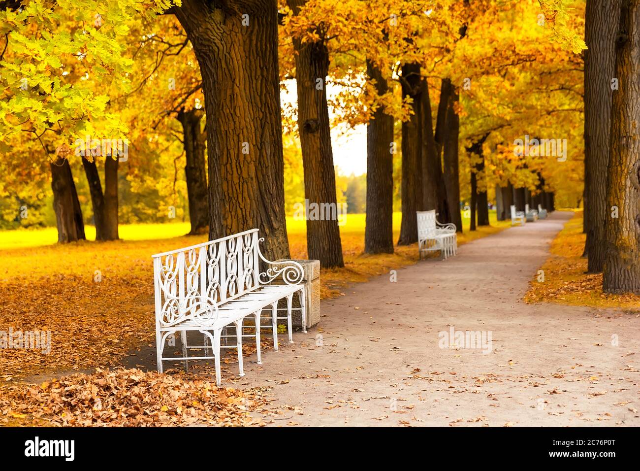 White park bench in the park in fall time Stock Photo - Alamy