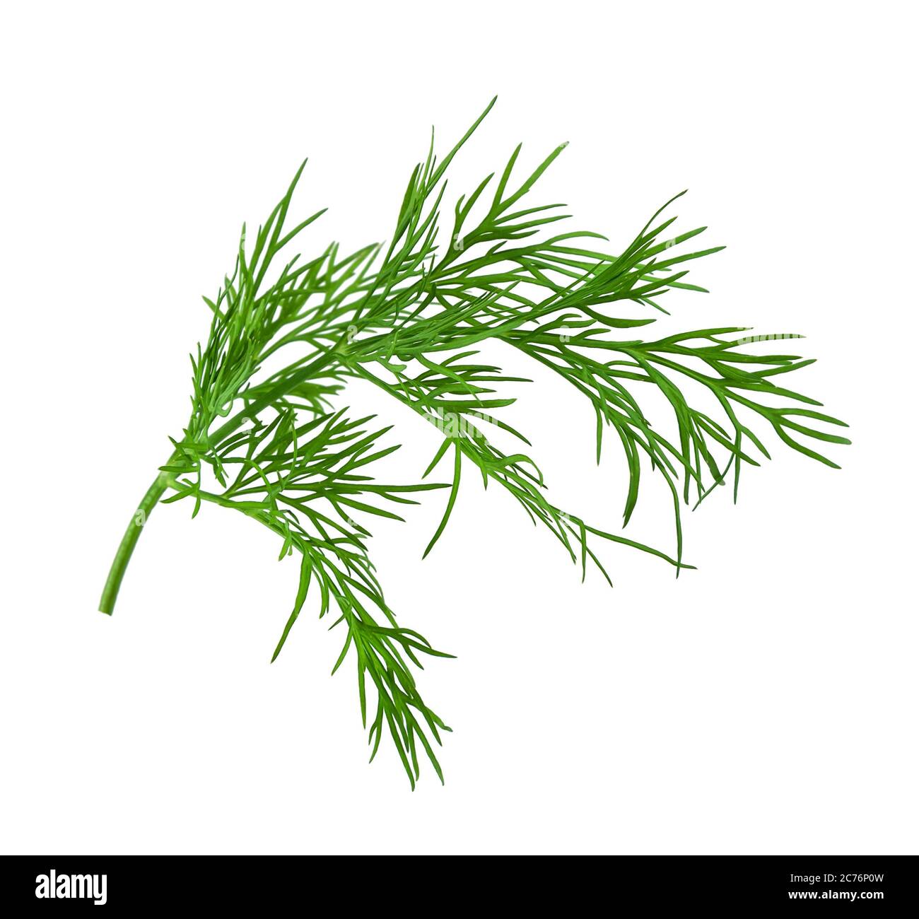 Fresh green dill close hi-res stock photography and images - Alamy