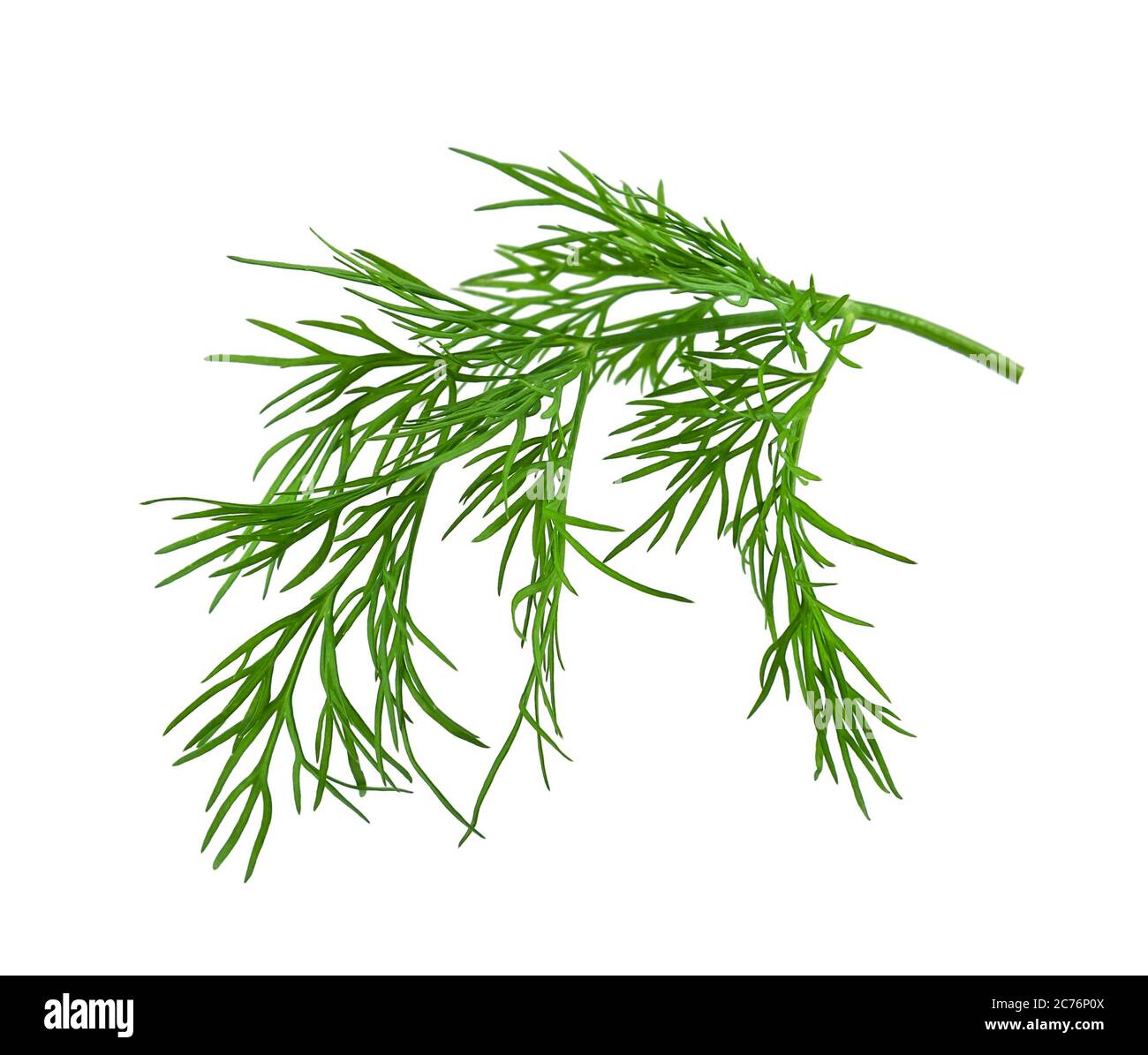 Fresh green dill close hi-res stock photography and images - Alamy
