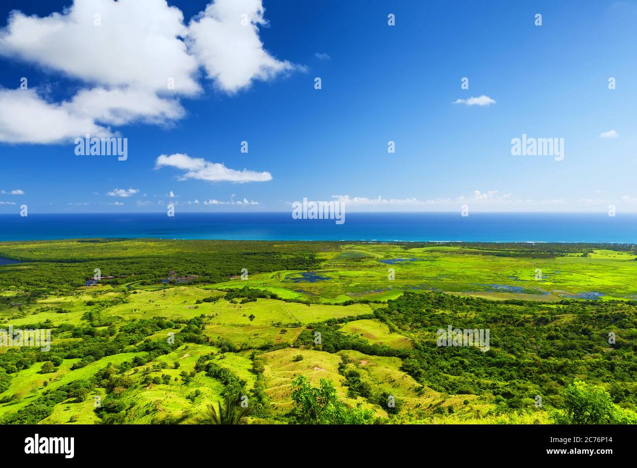 Sea grass field hi-res stock photography and images - Alamy