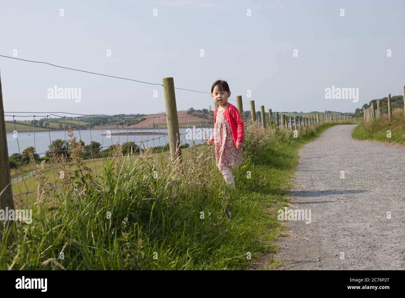 toddler girl walking on the summer countryside road Stock Photo - Alamy