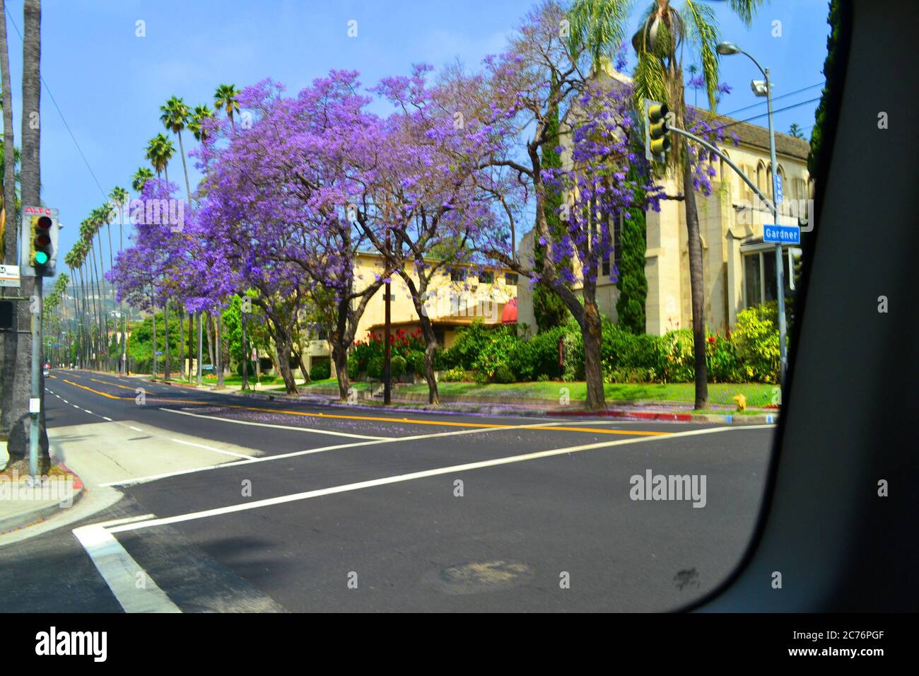 Street in beverly hills hi-res stock photography and images - Alamy