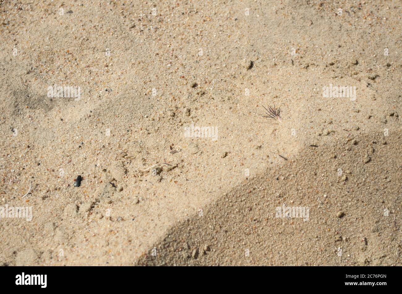 Dirty desert hi-res stock photography and images - Alamy
