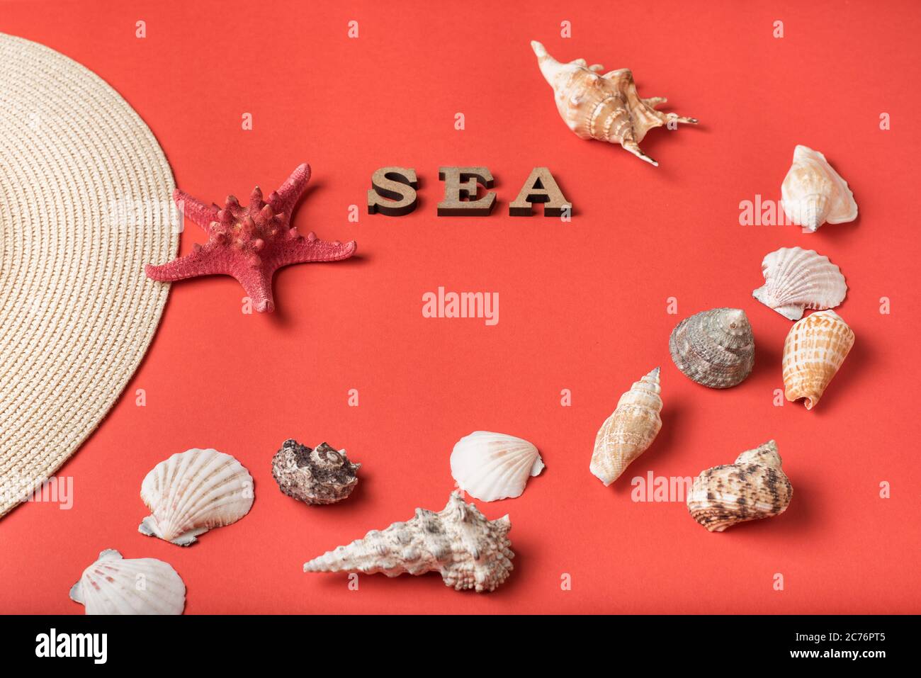 Composition from sea shells hi-res stock photography and images - Alamy