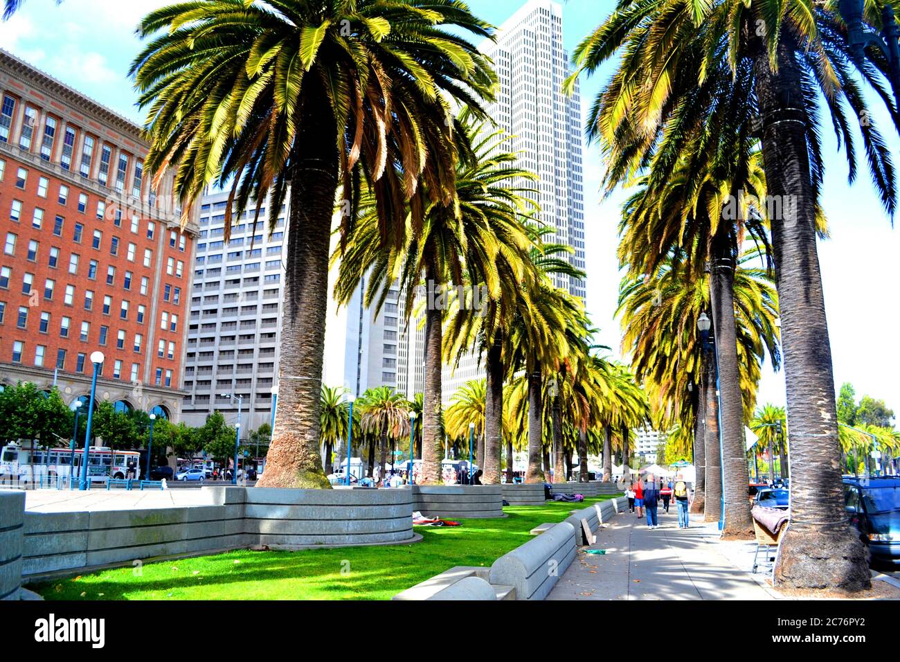 Beautifully aligned palm trees in San Francisco Stock Photo - Alamy