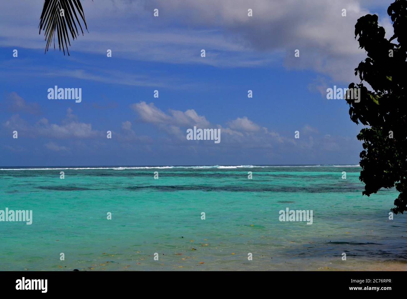 Beach in Thulusdhoo, Maldives Stock Photo - Alamy