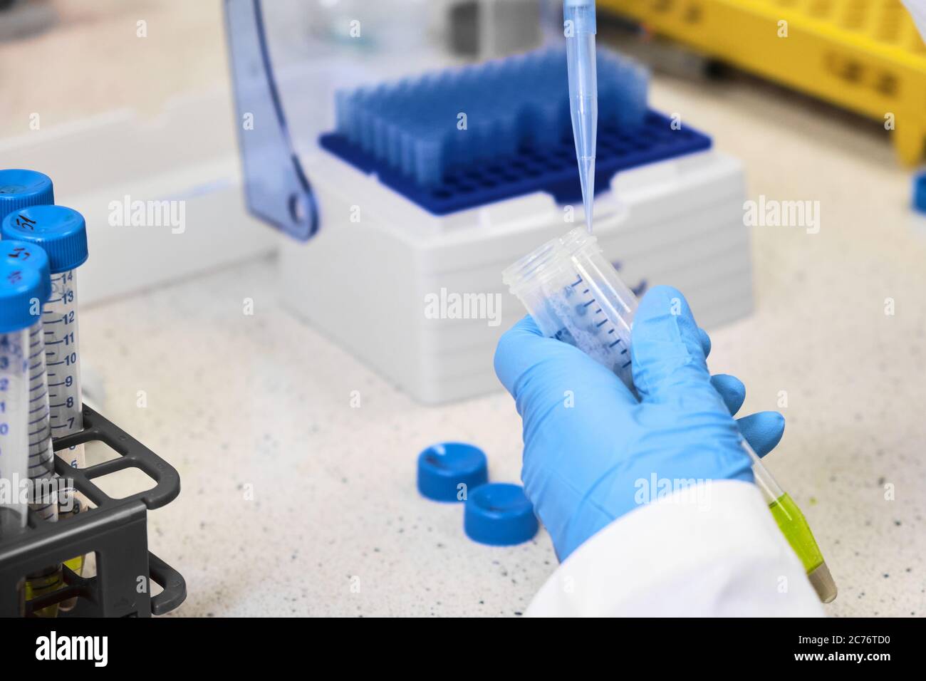 Scientist spikes samples using an automatic pipette. Sample preparation ...