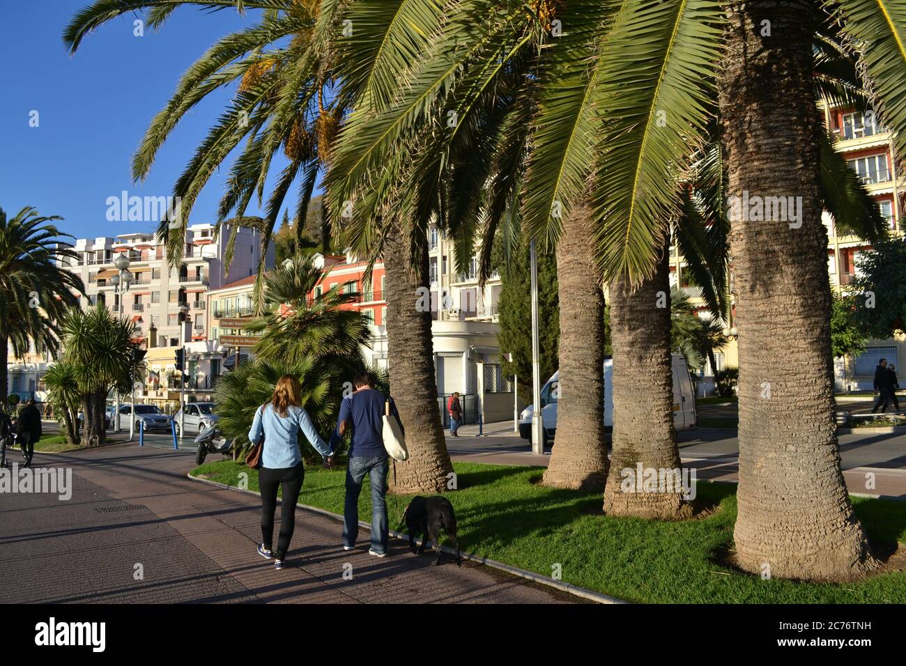 Palm trees at the seaside, Nice, France Stock Photo - Alamy
