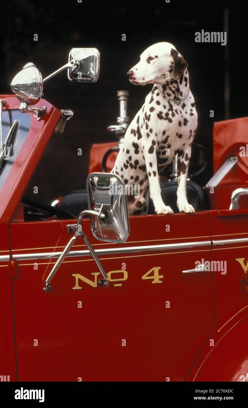 Fire department mascot hi-res stock photography and images - Alamy