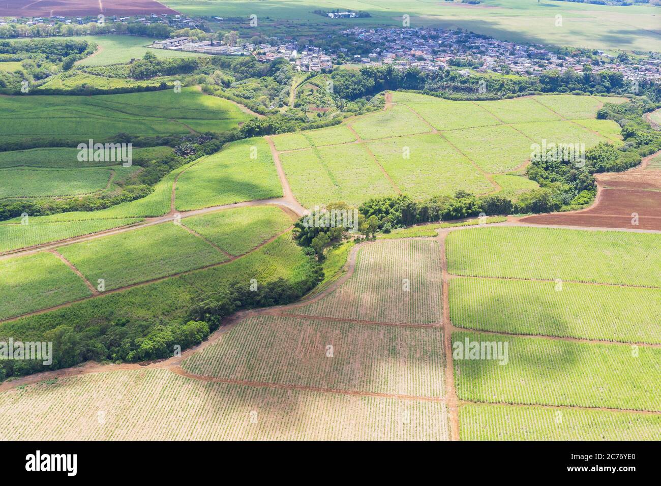 Aerial view of sugar cane fields, Mauritius, Africa Stock Photo - Alamy