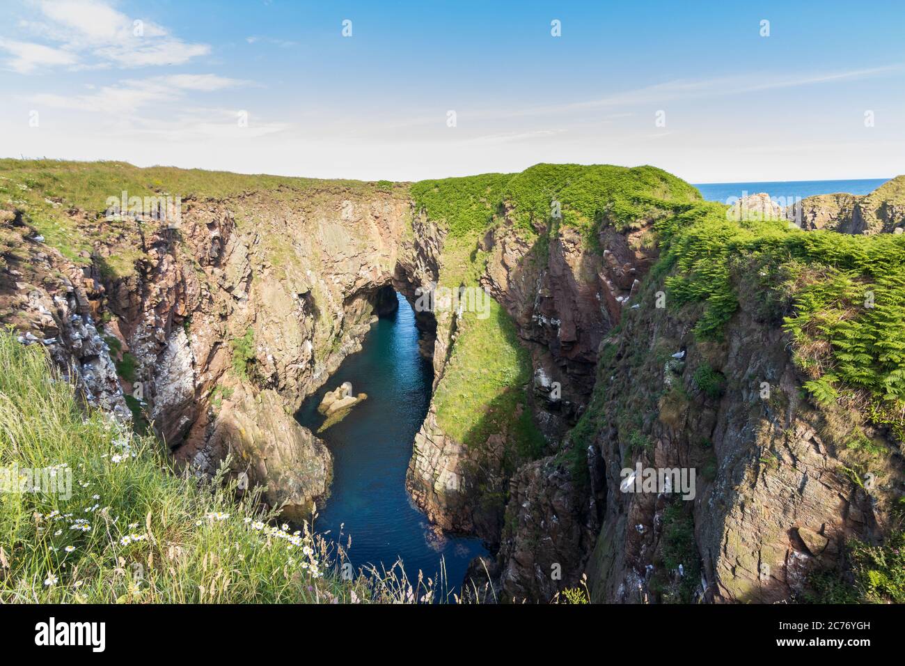 Bullers of Buchan cliffs in Aberdeenshire, Scotland Stock Photo - Alamy