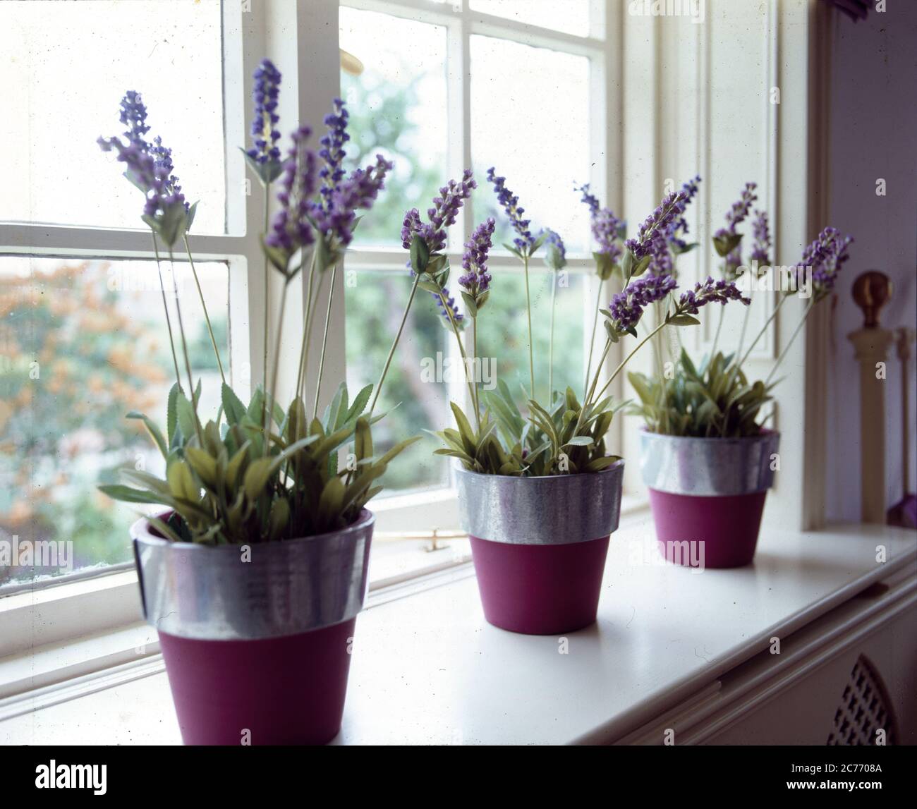 Lavender pots hi-res stock photography and images - Alamy
