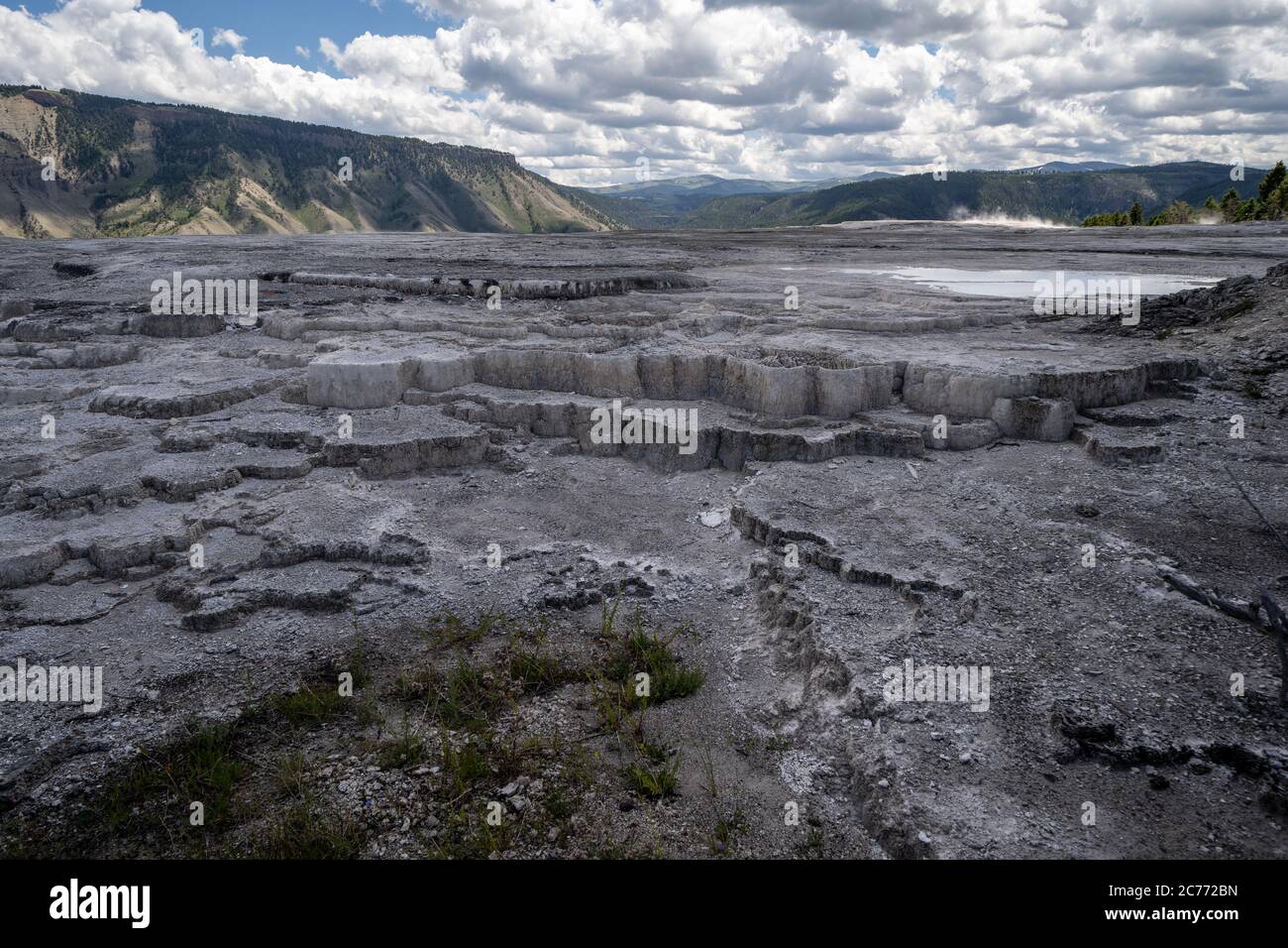 New Blue Spring, in the Upper Terraces of Mammoth Hot Springs ...