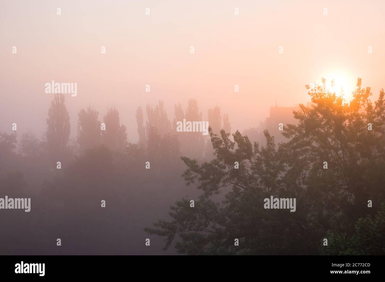 Spring cityscape - morning fog, green trees and sky with clouds Stock ...