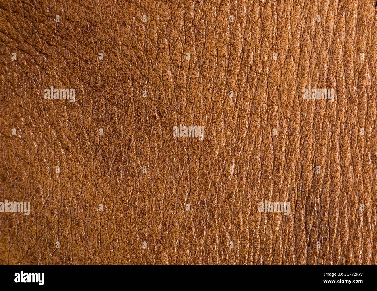 Old vintage genuine soft brown leather texture background, top layer ...