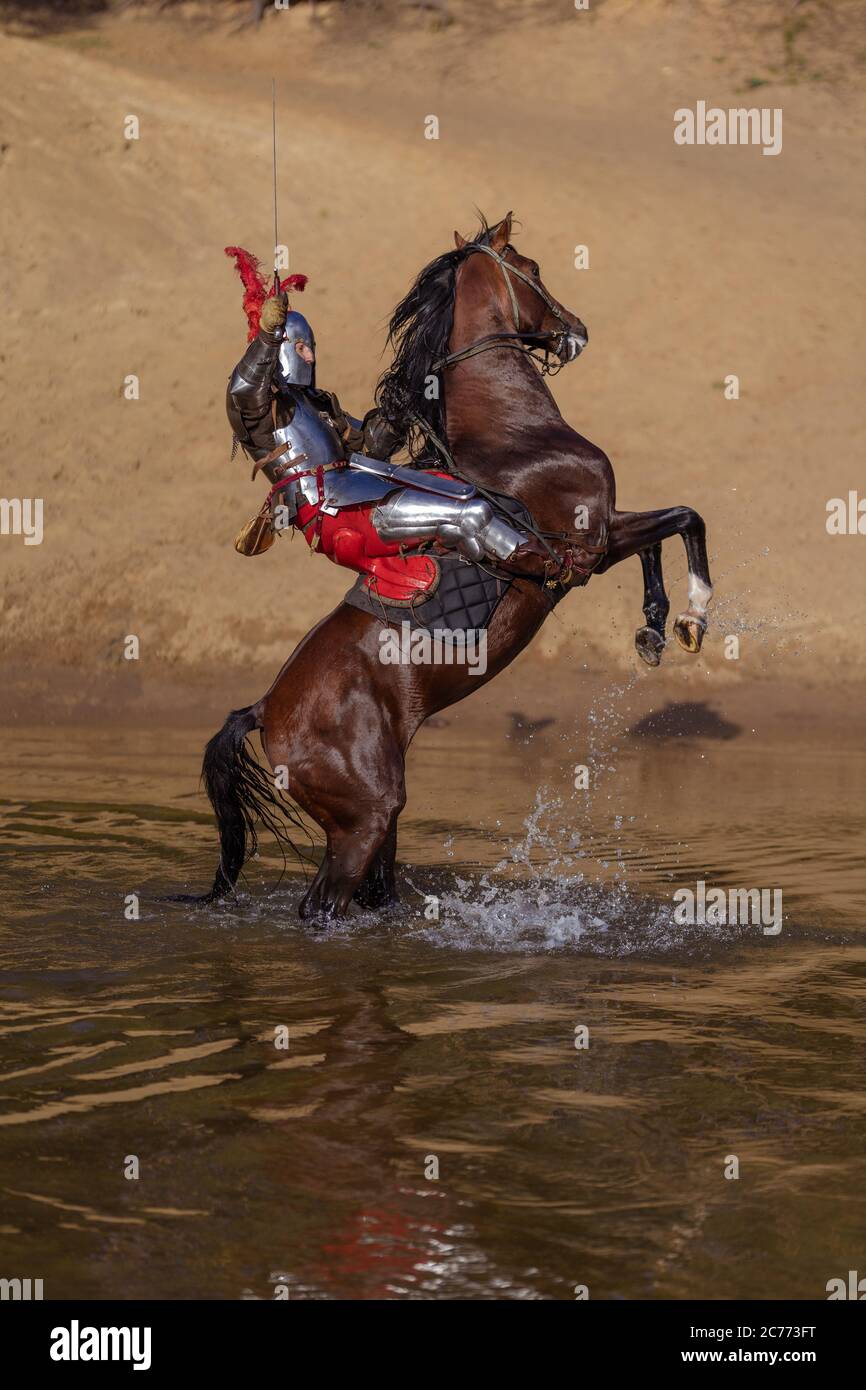 A young adult man in knightly armor rides a horse on a river along a ...