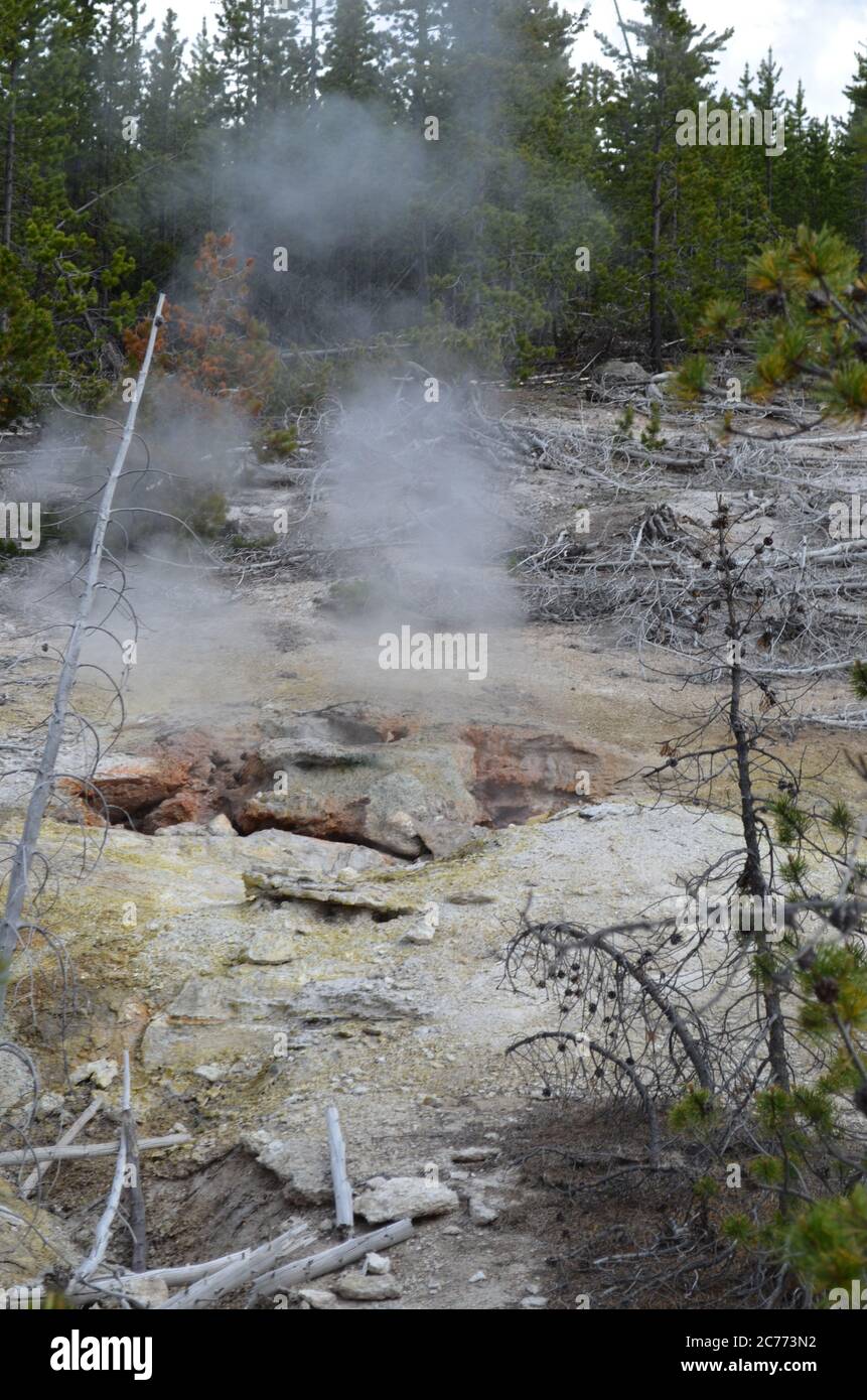 Late Spring in Yellowstone National Park: Arch Steam Vent in the Back ...