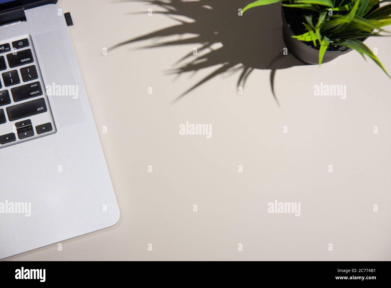 Light office desk table with laptop and green grass. Top view with copy ...
