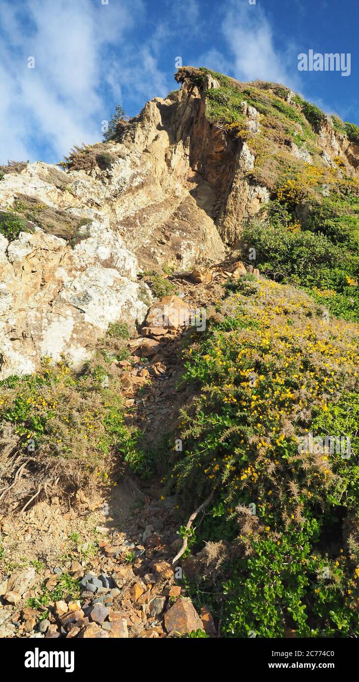 Titahi bay hi-res stock photography and images - Alamy