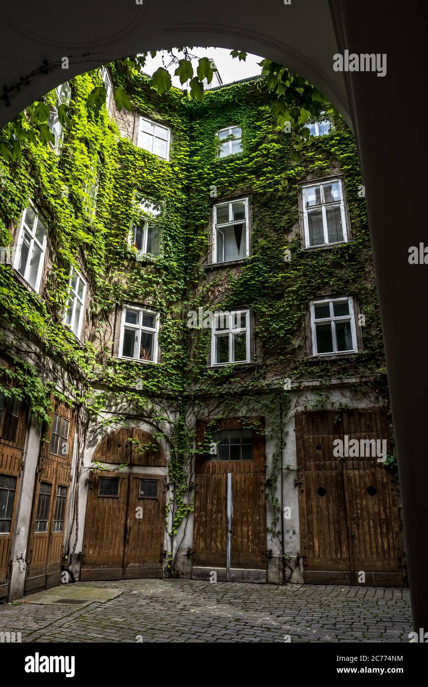 Courtyard Of A HIstoric Building With Wooden Doors And Ivy Overgrown ...
