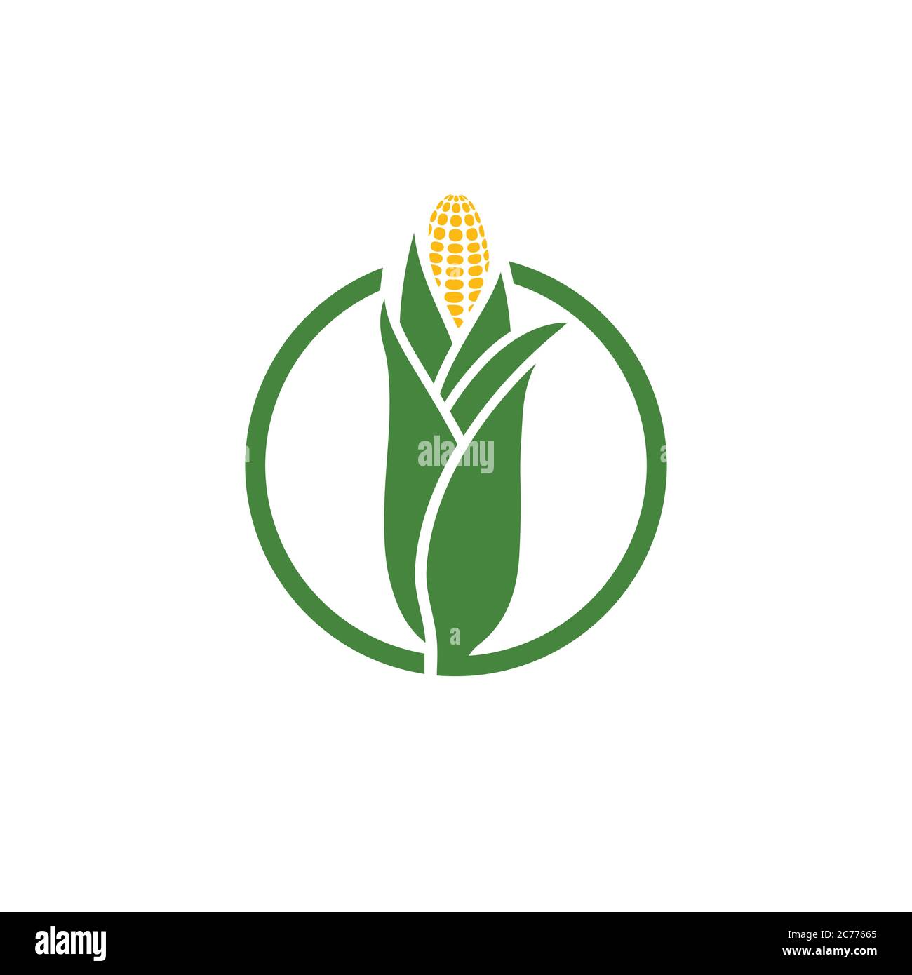 Corn vector hi-res stock photography and images - Alamy