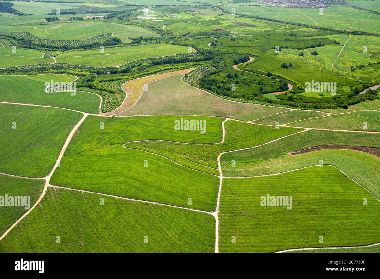Sugar cane plantation brazil hi-res stock photography and images - Alamy