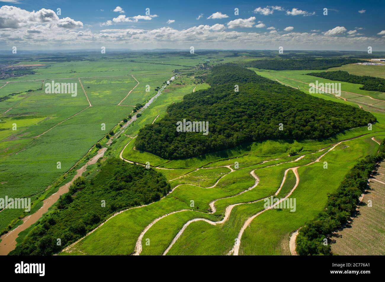 Agriculture, sugar cane cultivation and remnants of Atlantic forest in ...