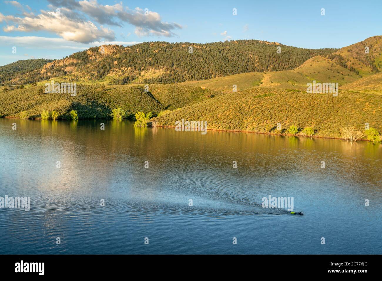 open water swimmer with a swim buoy on a calm mountain lake, summer ...