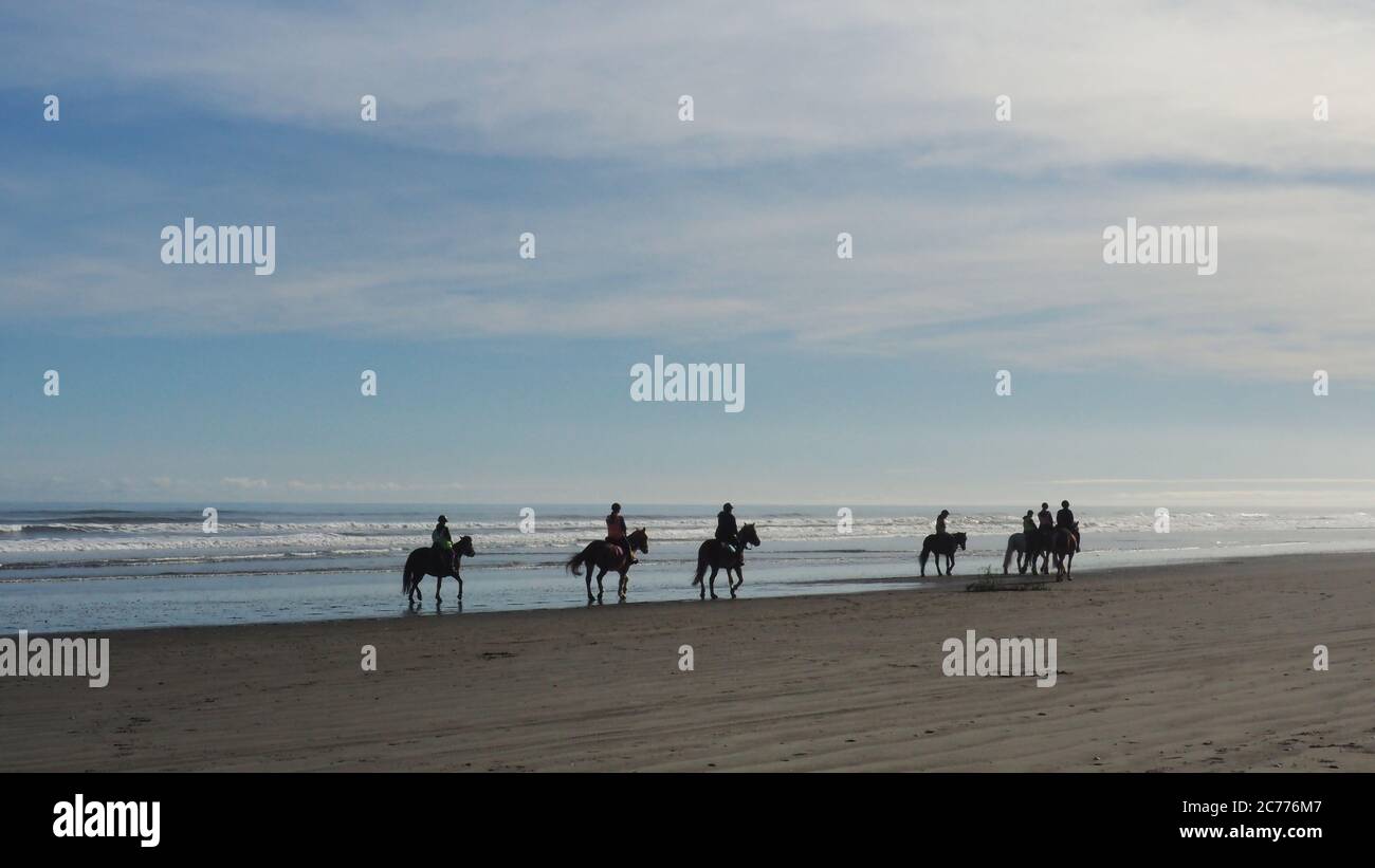 Typical nz beach scene hi-res stock photography and images - Alamy