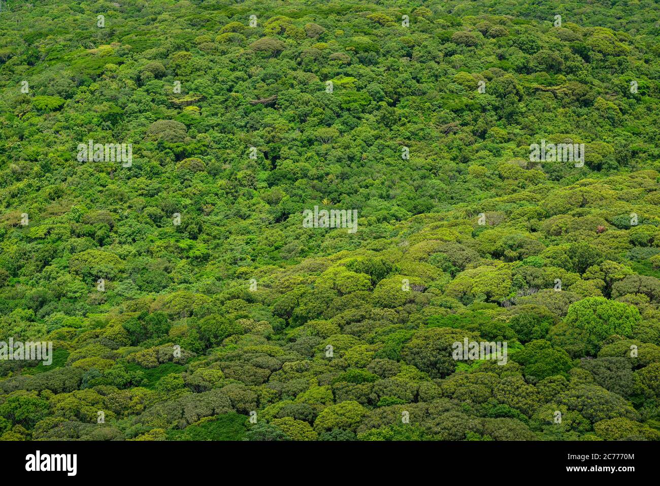 Biomass plant brazil hi-res stock photography and images - Alamy